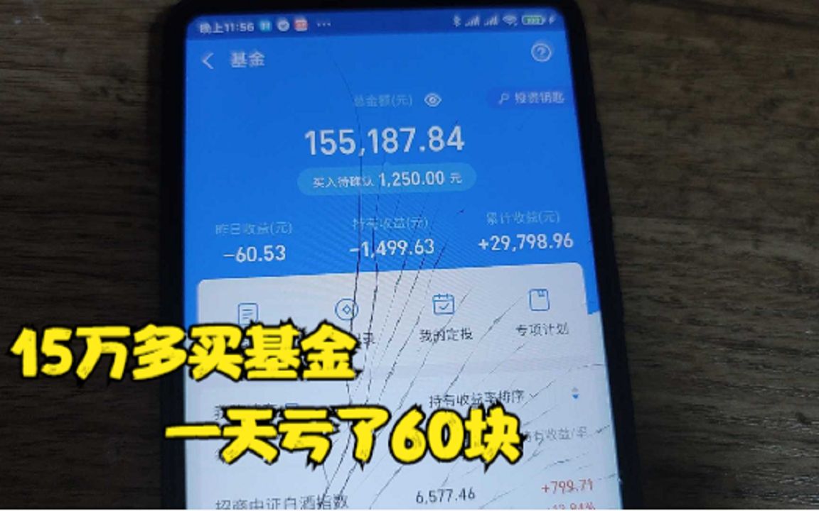 15万多买基金一天亏了60块 下周希望收益能破3w