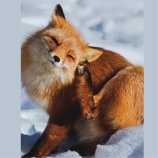 多吃知识好长肉 