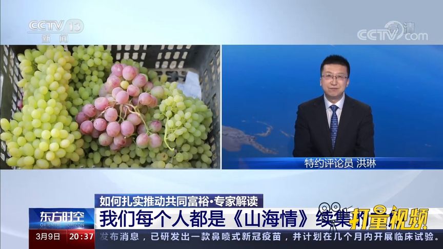 如何扎实推动共同富裕?专家解读|东方时空