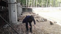 小学数学三年级-建模教学法-总数、每份数和份数之间的关系