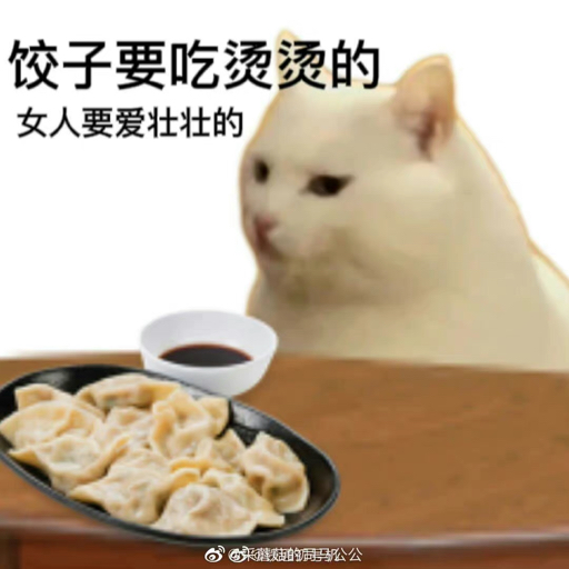 银河炸肉饼 