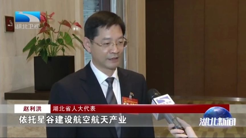 湖北省人大代表,新洲区委书记赵利洪,接受记者采访