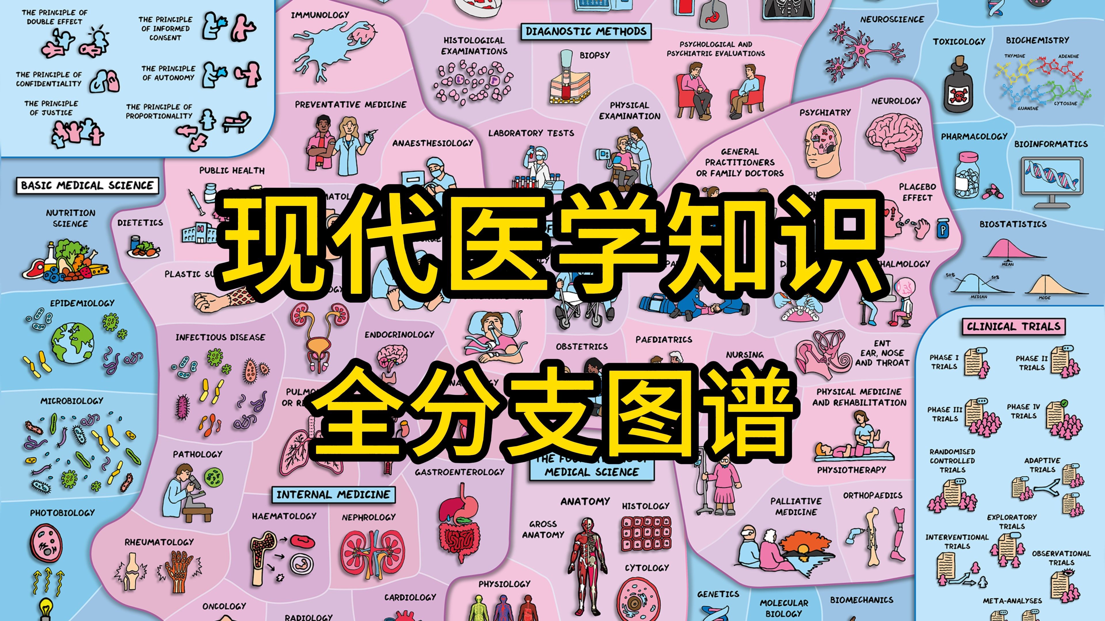 医学的地图:一张图告诉你现代医学的所有分支