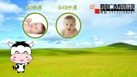 企业flash宣传片动画制作公司 乳品牛奶商业传统动画广告制作