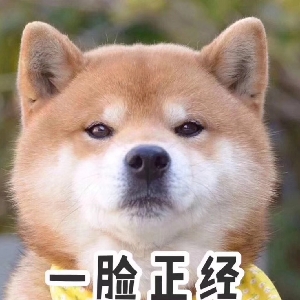 老狗电子回收 