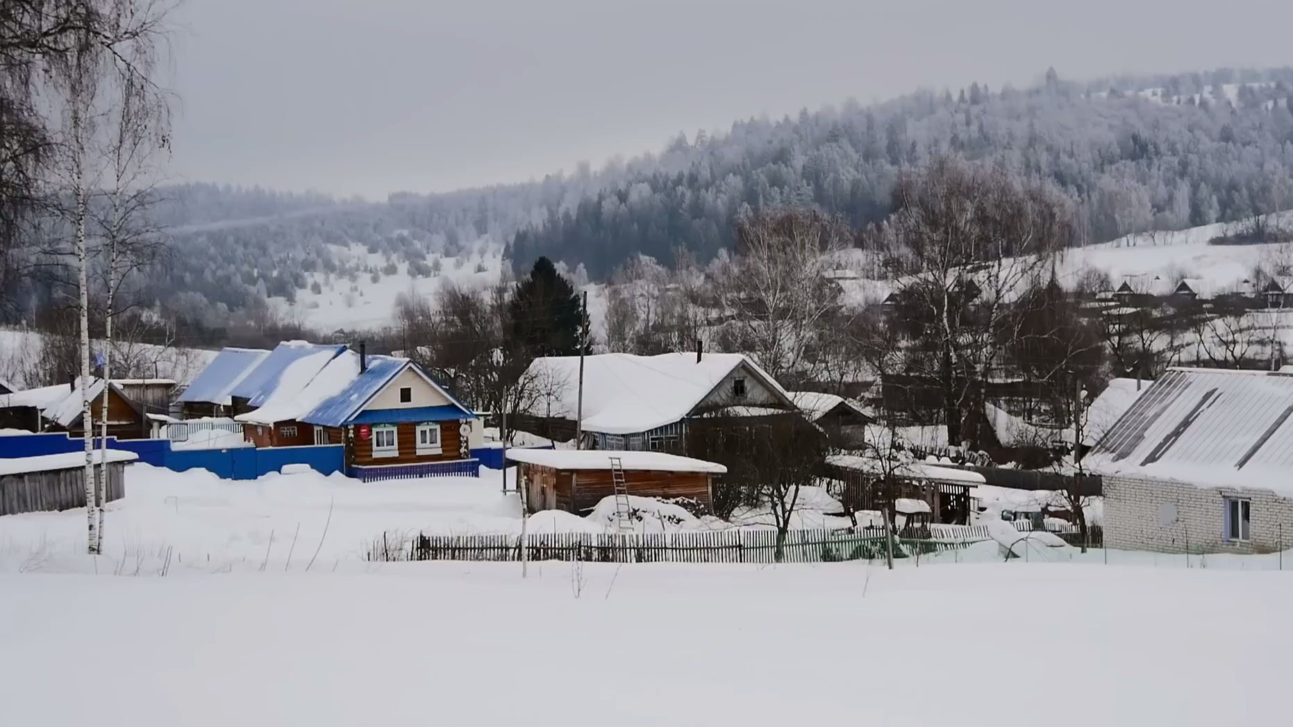 在俄罗斯森林深处的村庄里,马里一家人是如何生活的?