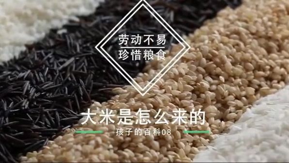 大米是怎么来的#种业 #水稻种植 #农业种植 #三农