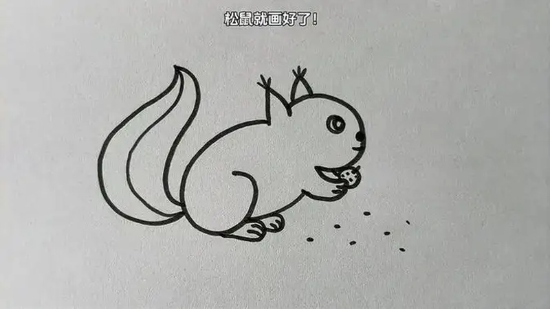 用数字63简单画小松鼠