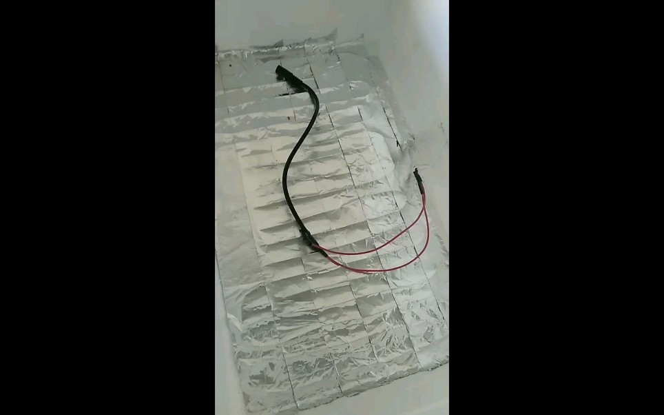 #水床孵化箱#根据小牛爱共*在孵化吧分享的教程第一次制作水床成功,...