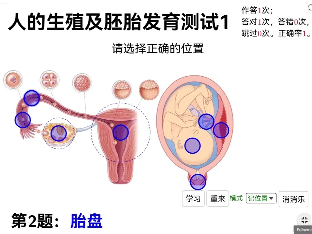原来还可以这样和胎儿玩耍!GeoGebra在线多种模式识图游戏:人的生殖...