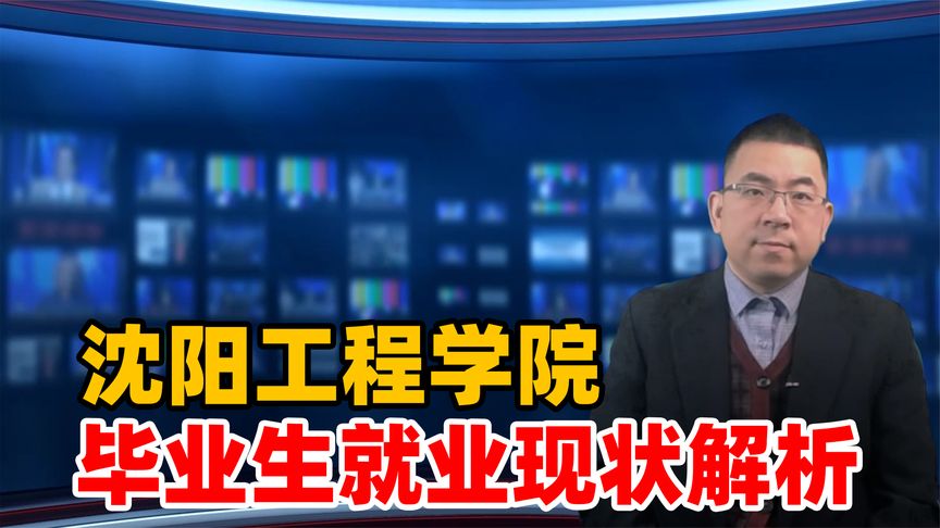 沈阳工程学院毕业生就业现状解析