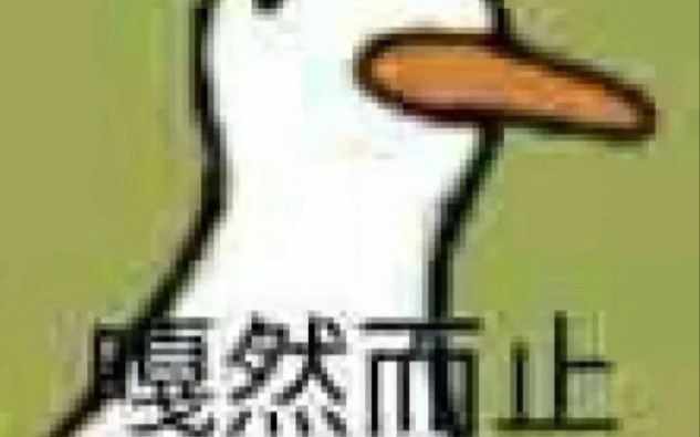 【梁祤笙】搞笑表情包第一期,全员憨憨,绝美网图变表情包是什么体验?