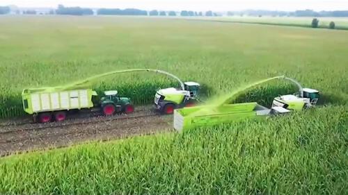 支撑畜牧业的是规模化的青贮种植产业