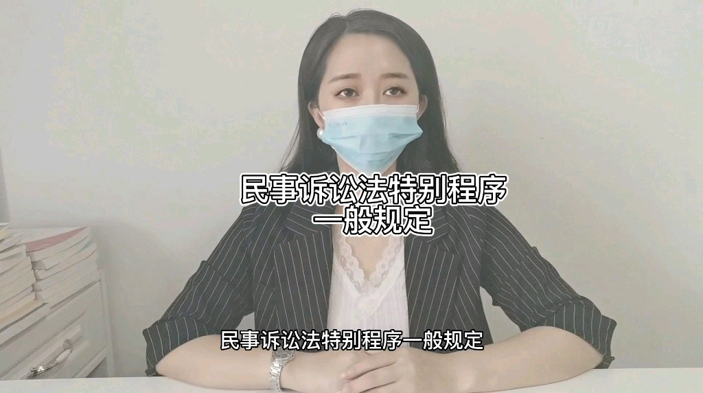 民事诉讼法特别程序一般规定