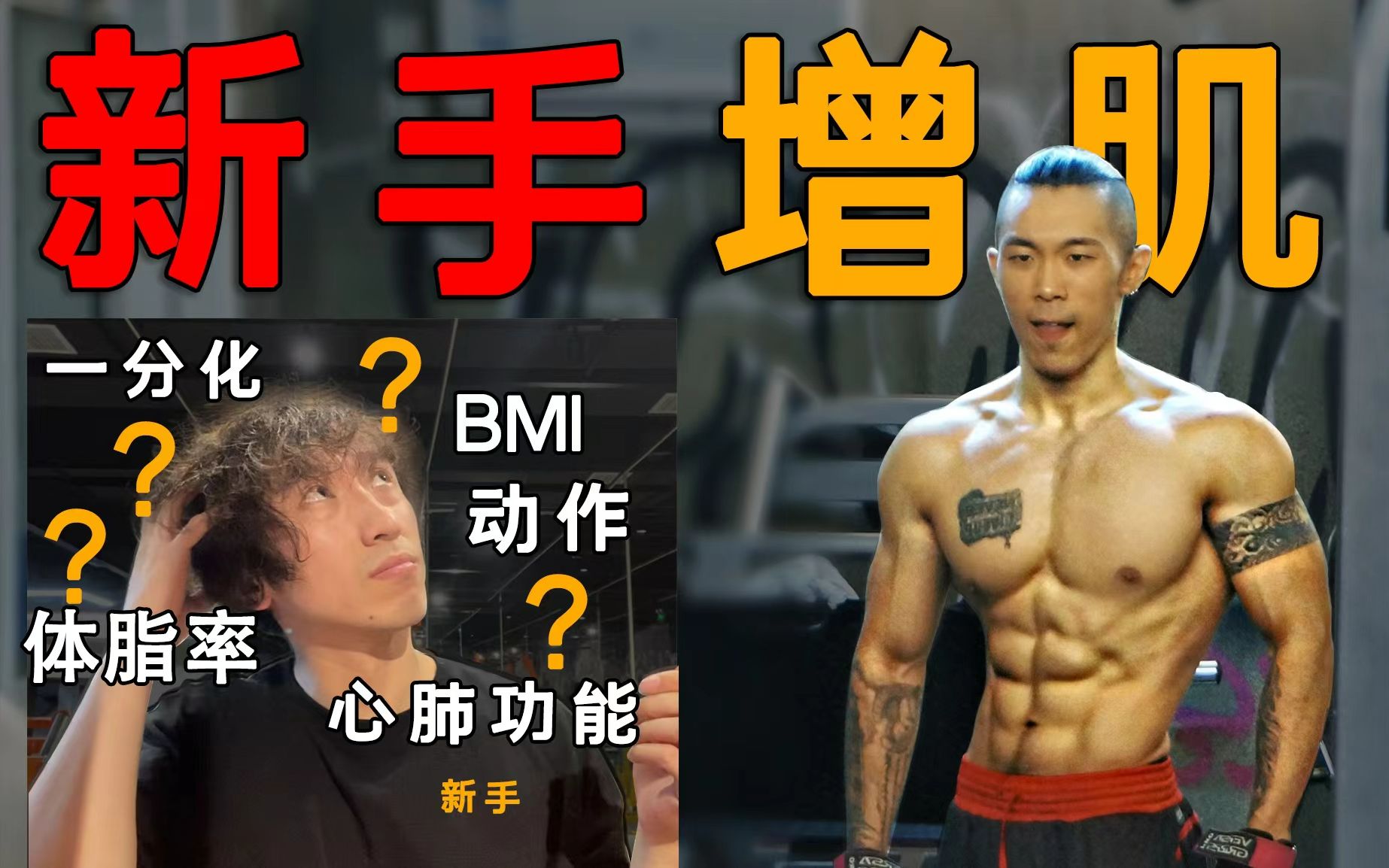 【新手入门】帮你省去50节私教费!一分化训练 理论+计划+讲解