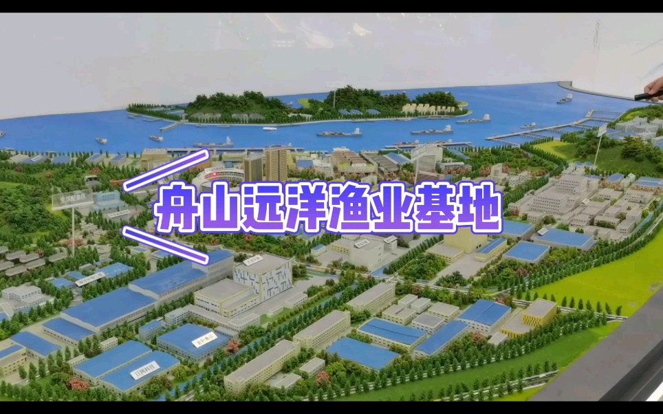 舟山市“家燕归巢”大学生暑期社会实践活动——走进舟山国家远洋...