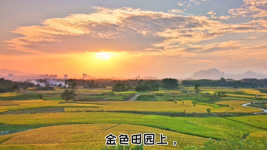 秋天,金灿灿的稻田在夕阳下又是另一景象!只有走进稻田才体会到