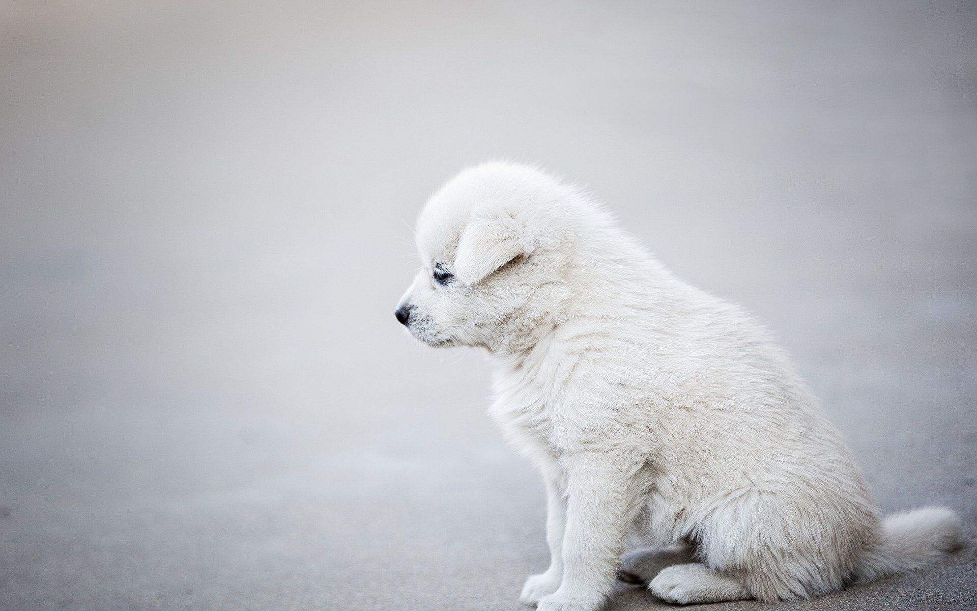 Excel综合应用(65):综合利用数据公式,检验录入的身份证号码是否正确