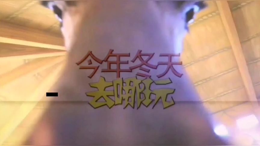 齐齐哈尔龙沙动植物园动物温暖过冬(记者周芳)