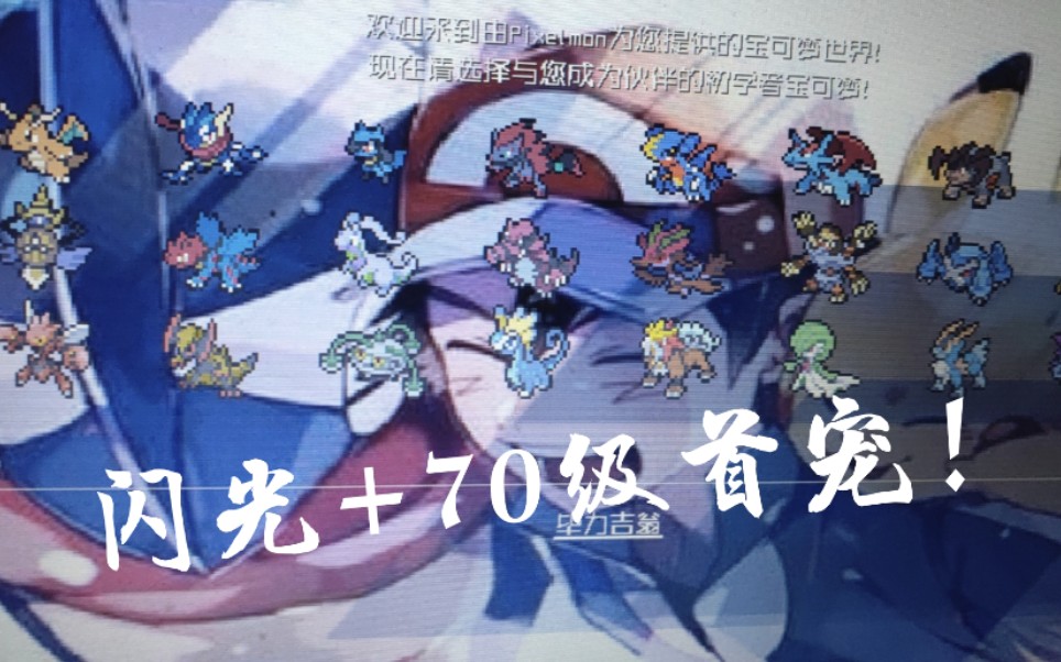 焕奕宝可梦火热招新!福利超多!支持手机版!电脑版!