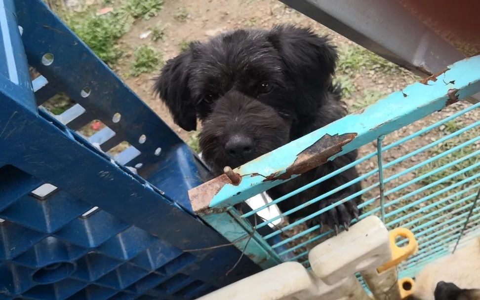 近期救助不断,五大爱心医院同时就诊