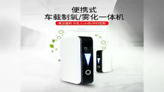 车载家用雾化负离子制氧机孕妇氧气机老人保健吸氧机 798/台