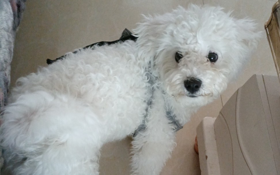 初中物理无生试讲(声音的产生和传播)