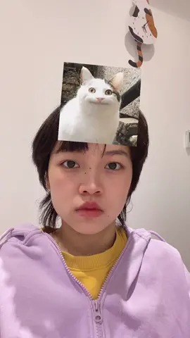 #模仿猫猫大挑战 哈哈哈哈哈哈为难我了#搞笑视频