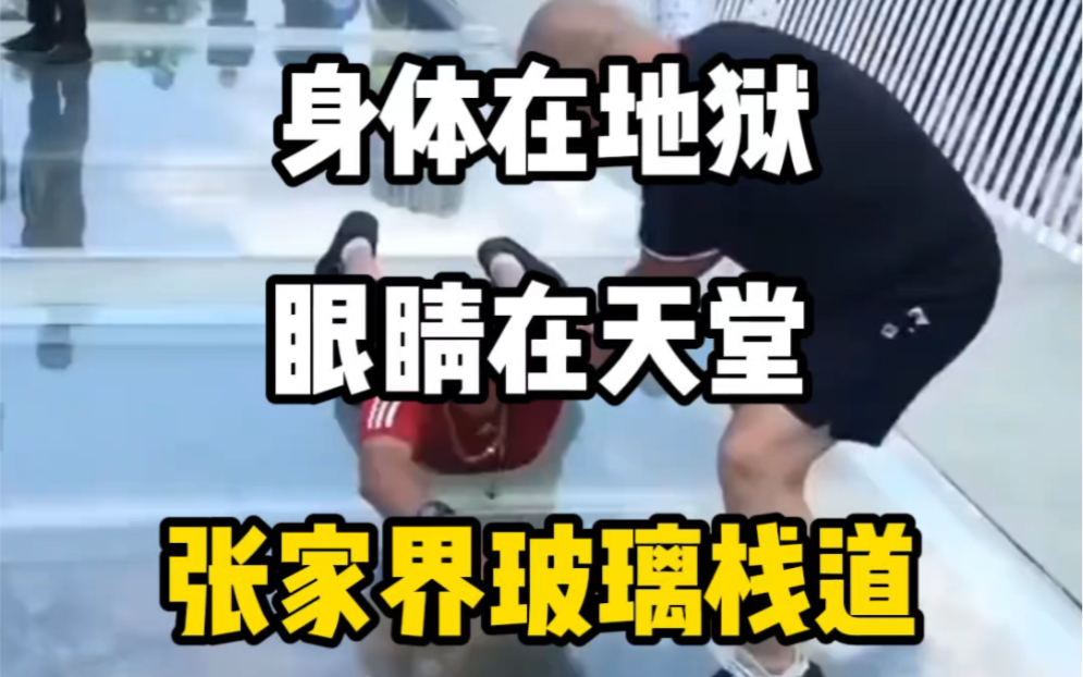 张家界玻璃栈道#旅游 #旅行推荐官 #登顶成功 #张家界 #玻璃栈道