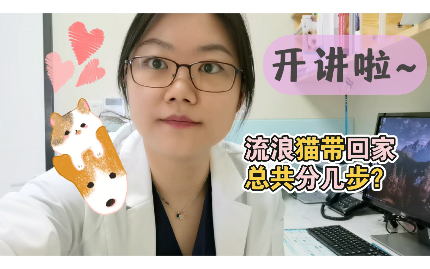 遇见流浪猫可以直接带回家吗?收养流浪猫要注意什么呢?新手小白快快...
