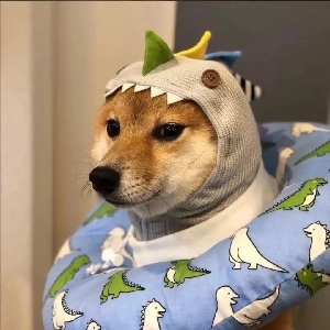 我傻先救我 