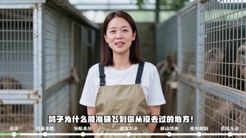 鸽子怎么送信去陌生的地方