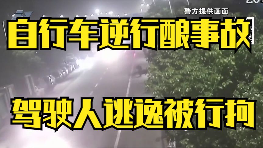 自行车逆行酿事故 驾驶人逃逸被行拘