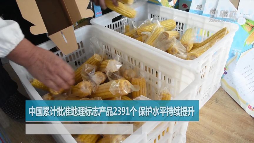 中国累计批准地理标志产品2391个 保护水平持续提升