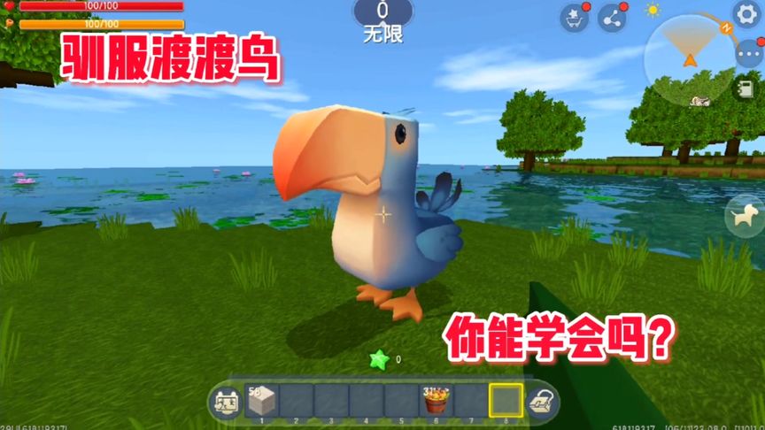 迷你世界:原版生存驯服渡渡鸟小技巧,看完你能学会吗?
