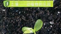 土壤动植物的乐园 课件使用说明