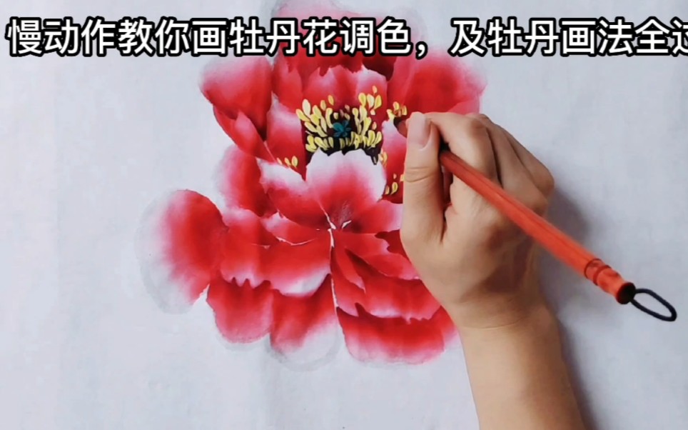 慢动作教你画,牡丹花调色及牡丹画法全过程。