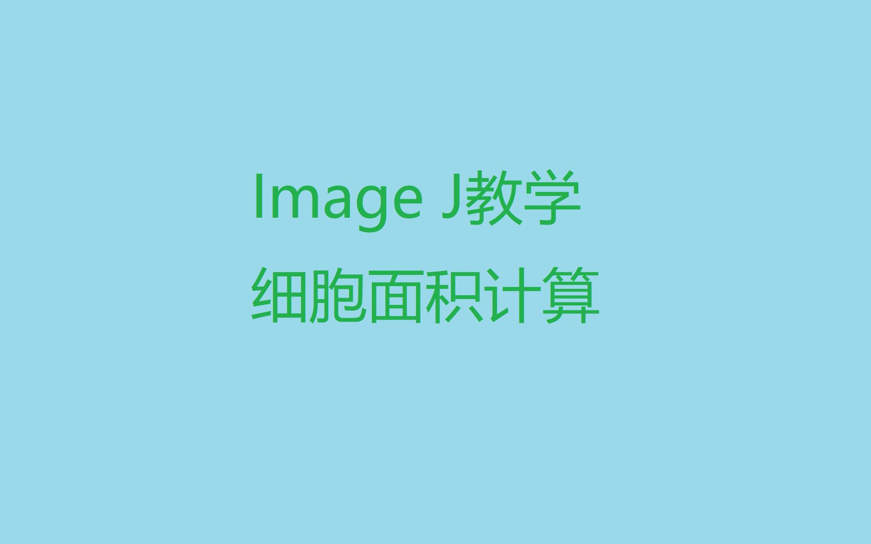 【细胞实验】Image J入门教程,细胞面积计算
