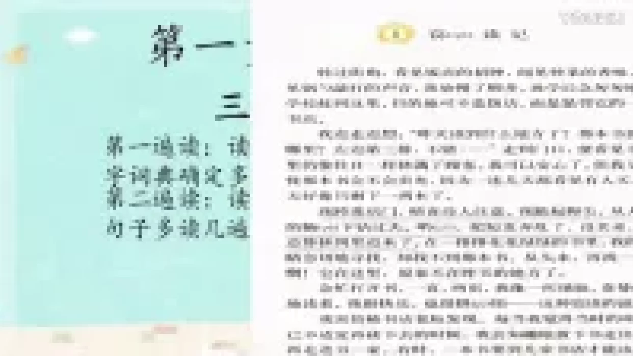 小学语文微课教学视频《四步预习法》