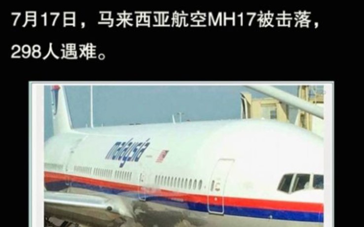 【纪录片合集】2014年马航MH17号班机坠机事件,298人遇难