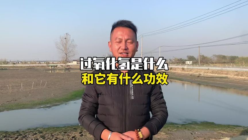 过氧化氢是什么?它有什么功效?#农大底倍健过氧化氢招商