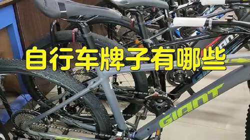 全球十大自行车品牌盘点:你的爱车上榜了吗?