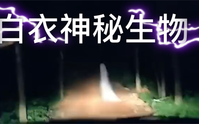 汤溪水库 灵异事件 2020年3月29灵异事件