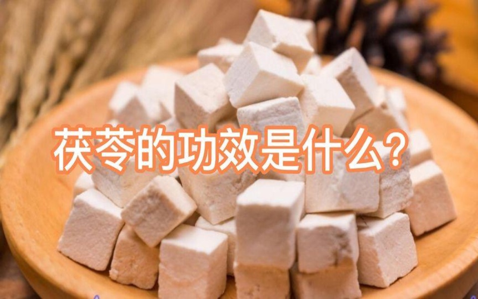 茯苓的功效是什么?
