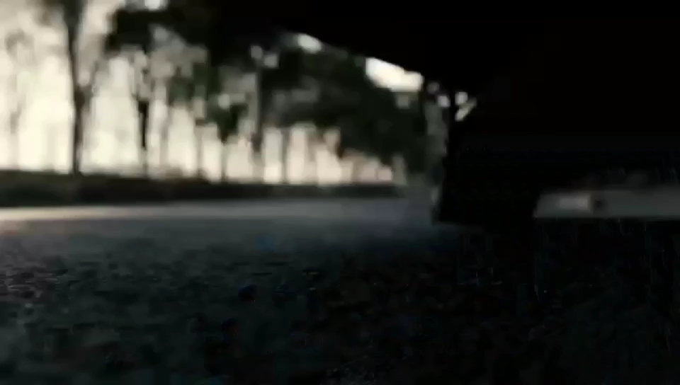 BYD是唯一能把车主逼得自己拍宣传片的车企