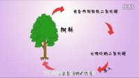 吉林大学校园公益科普动画之 保护生态环境