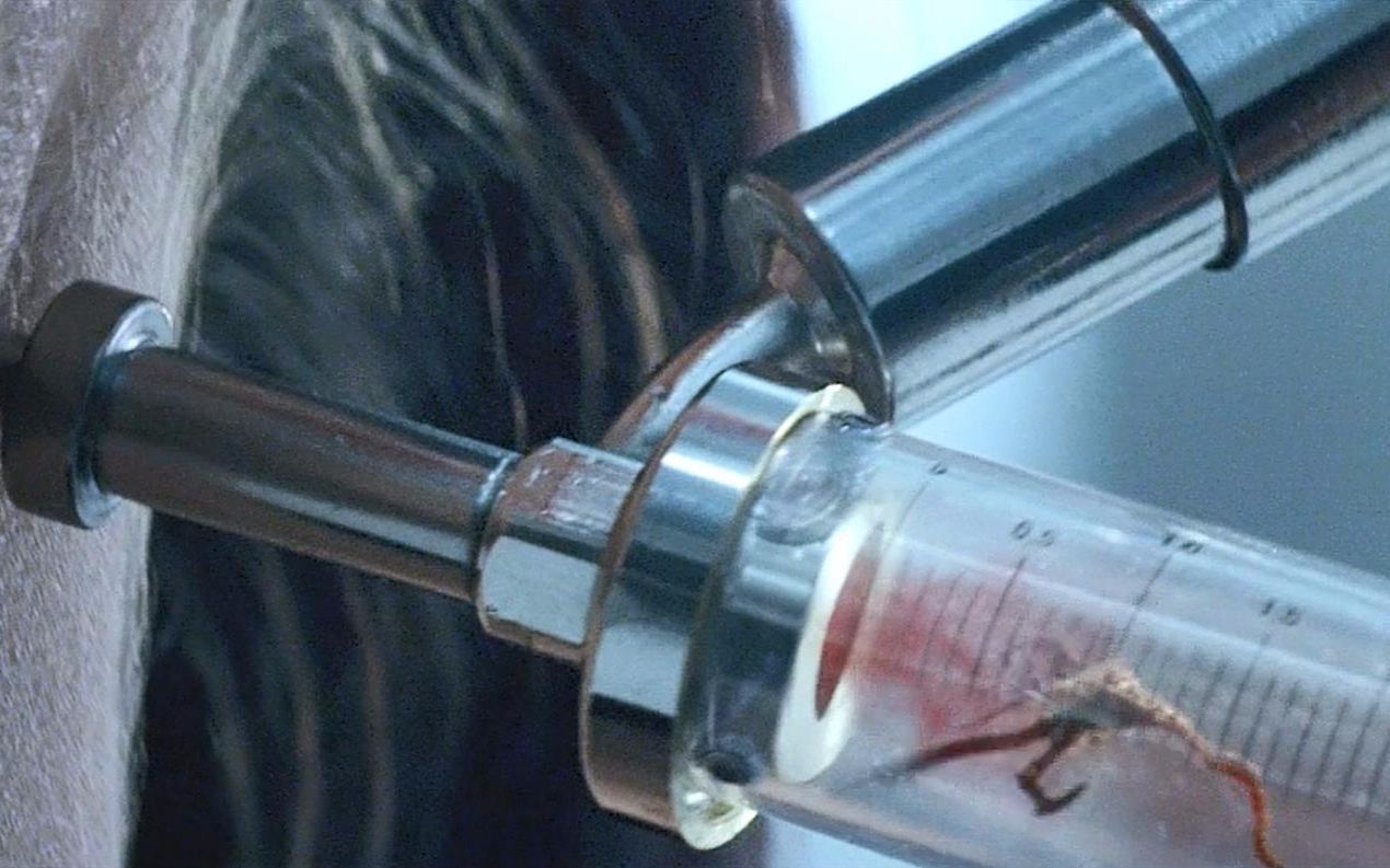 稀有神奇的寄生虫,被它寄生人体将会变得所向无敌,连子弹也打不死!