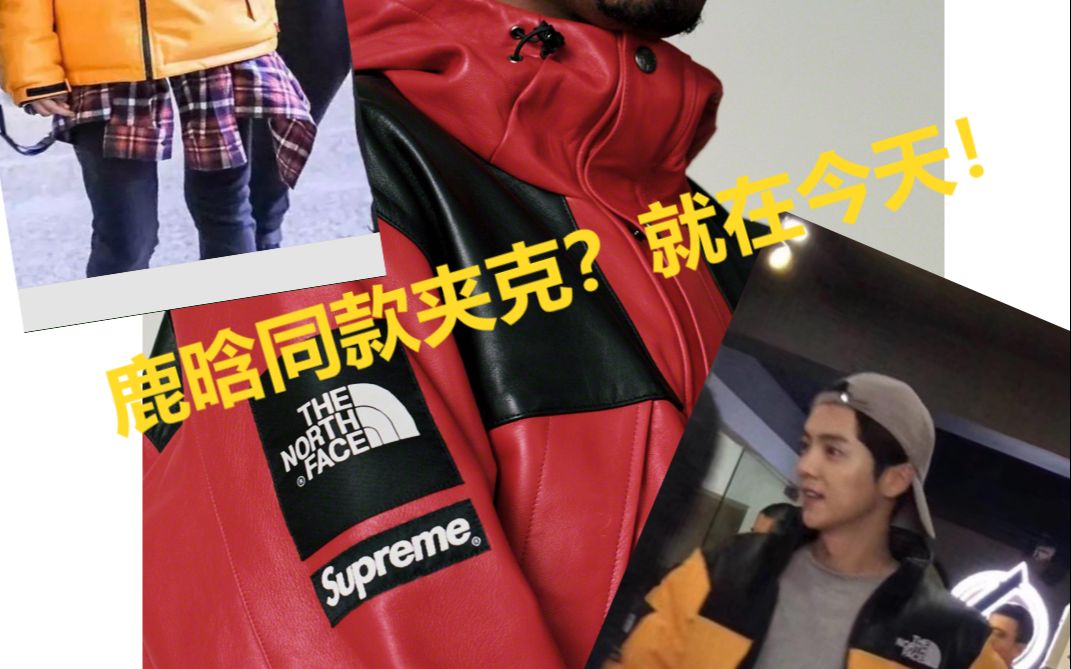 【$1098的羽绒服了解一下】万众瞩目的联名Supreme X TNF!就是现在!
