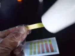 2061-食品中硼砂硼酸的现场快速检测
