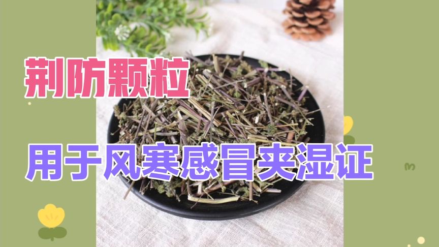 荆防颗粒,用于风寒感冒夹湿证,表现有恶寒无汗头痛身痛鼻塞流涕